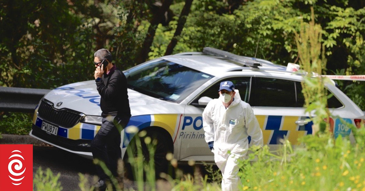 Man arrested and charged over murder of Auckland couple | RNZ