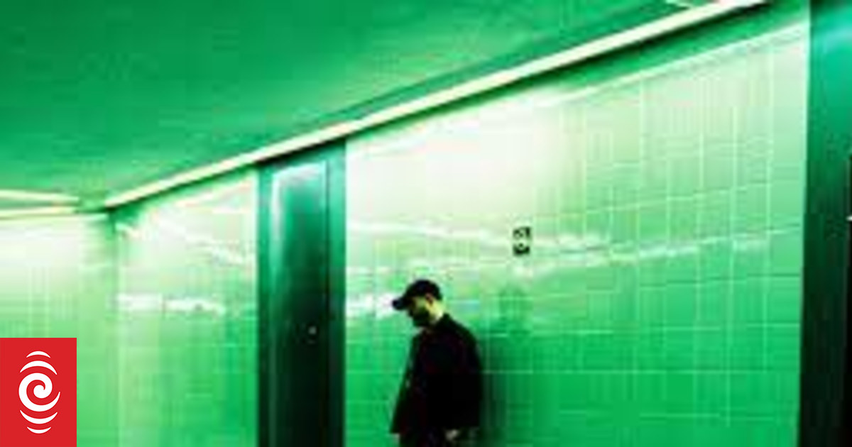 salvia palth: The elusive NZ musician making it big on Spotify | RNZ News