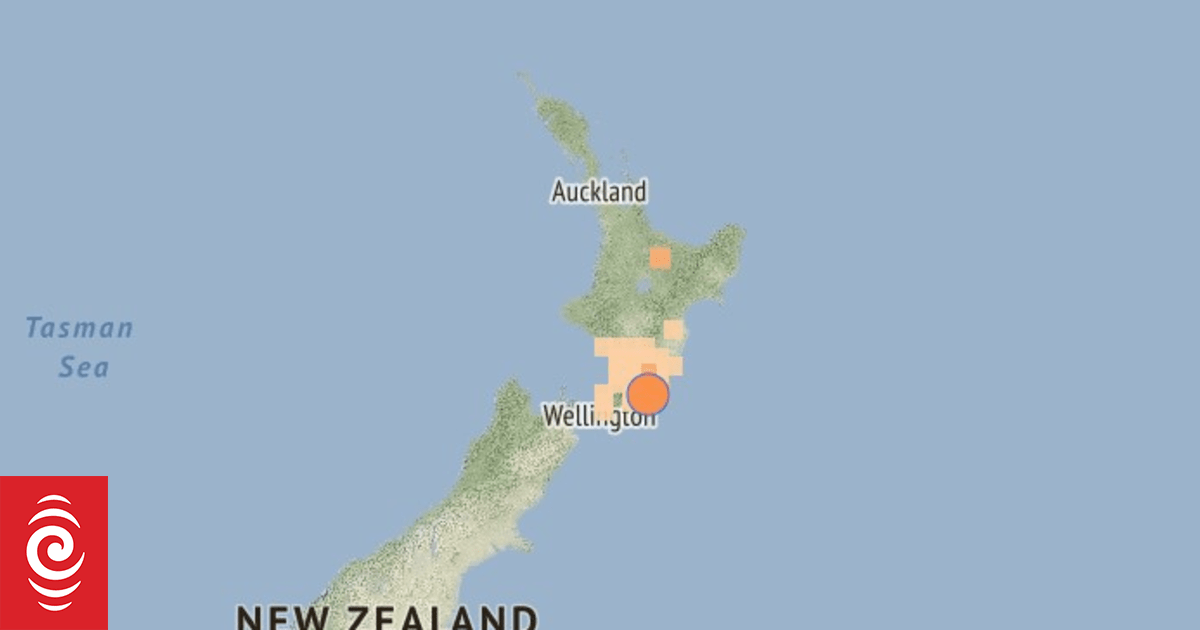 Scientists monitor cluster of earthquakes in lower North Island | RNZ News