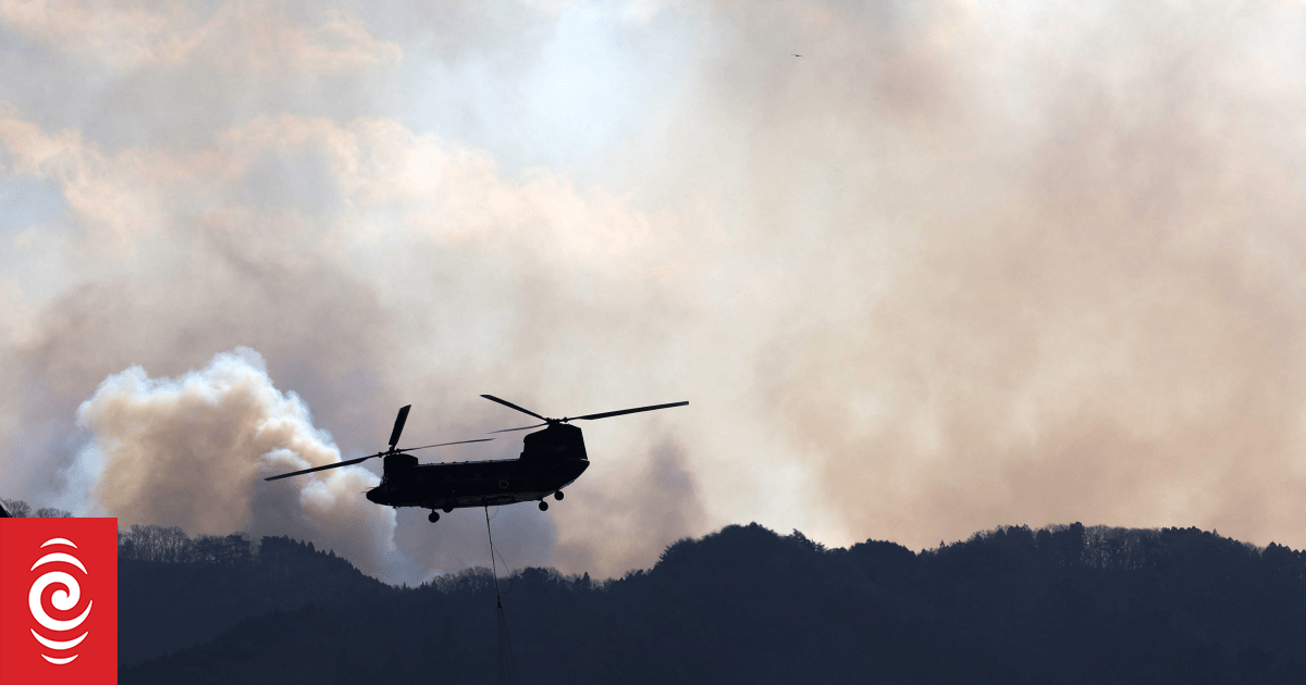 Thousands flee Ofunato after Japan's biggest wildfire in decades | RNZ News