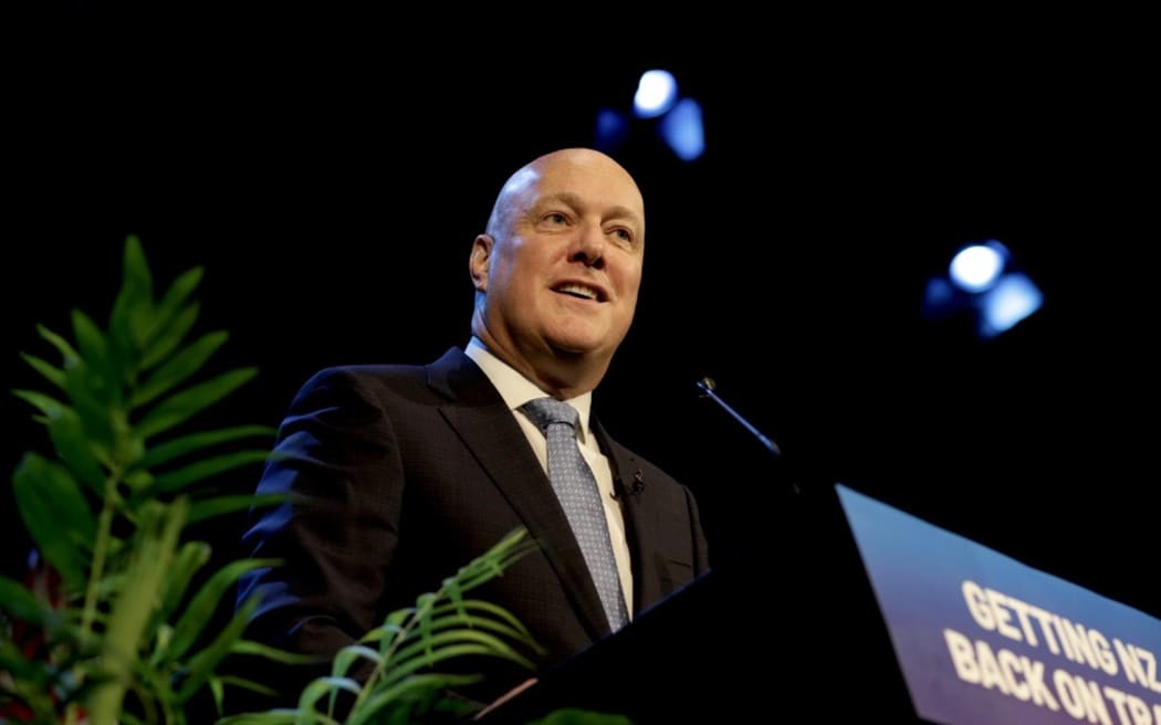 Week in Politics: Luxon stands out, benefit action under scrutiny and ...
