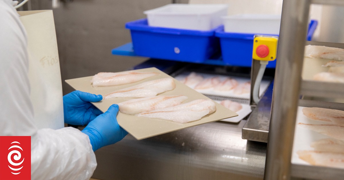 Sanford scales up collagen extraction from fish skin in Marlborough | RNZ