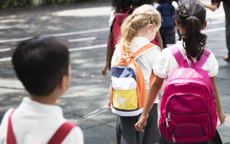 Government plans to restrict enrolment of international students | RNZ