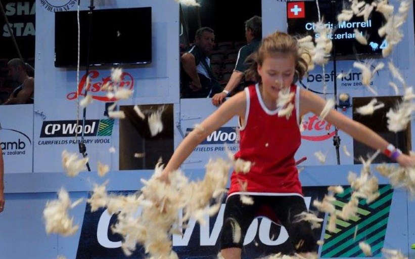 Watching the fleece fly | RNZ News