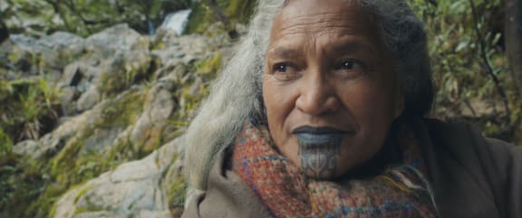 Vai - a story of Pacific people | A Gallery from Nine To Noon | RNZ ...