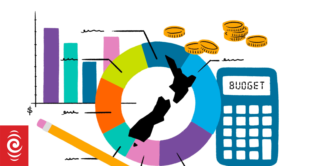 Budget 2024: Try RNZ's tax calculator | RNZ News