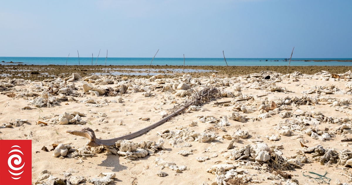 'Hardly any rain' for Kiribati island in nearly two years says MP | RNZ ...