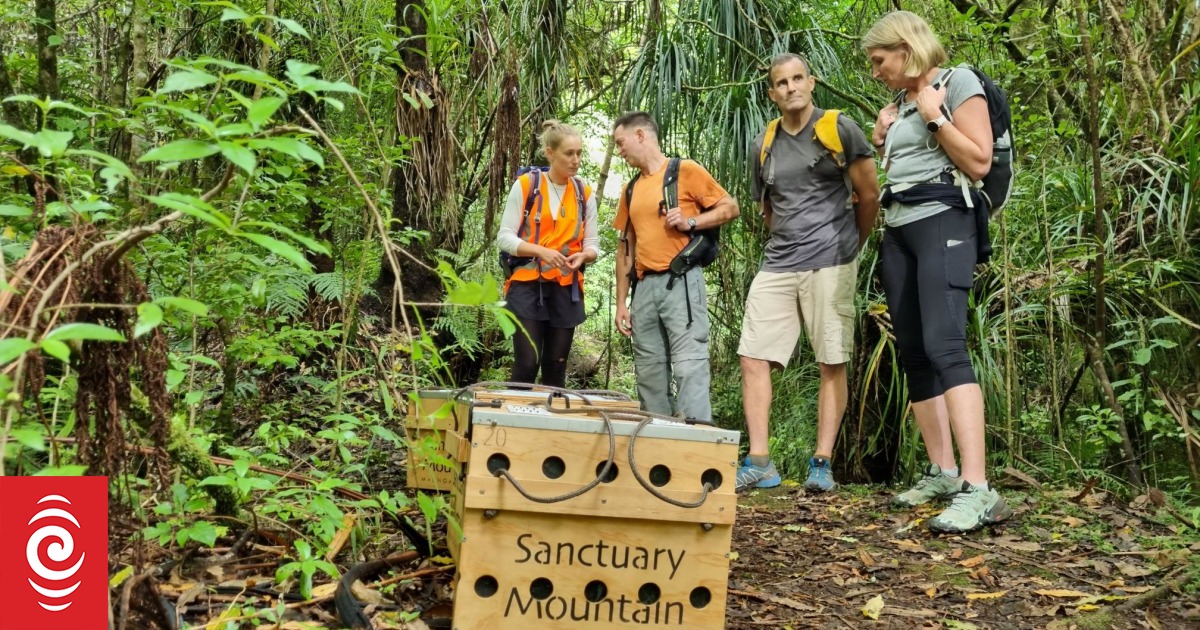 Around the motu : Robin Martin in Taranaki | RNZ