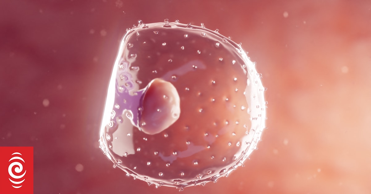 A heartfelt dilemma: what to do with unused embryos after IVF | RNZ