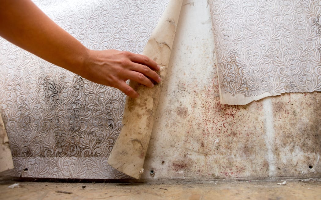 Community centre plans for building abandoned after toxic mould found ...