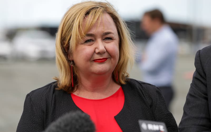 Government announces $70m fund to make fossil fuel switch | RNZ