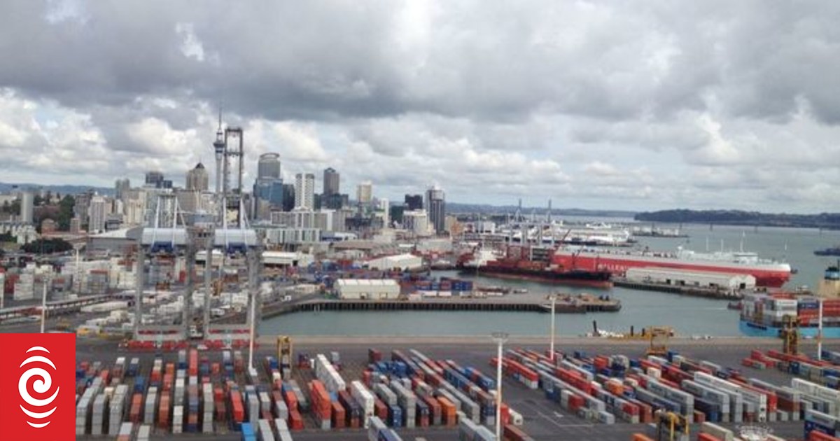 Auckland iwi eyes Ports of Auckland property | RNZ News
