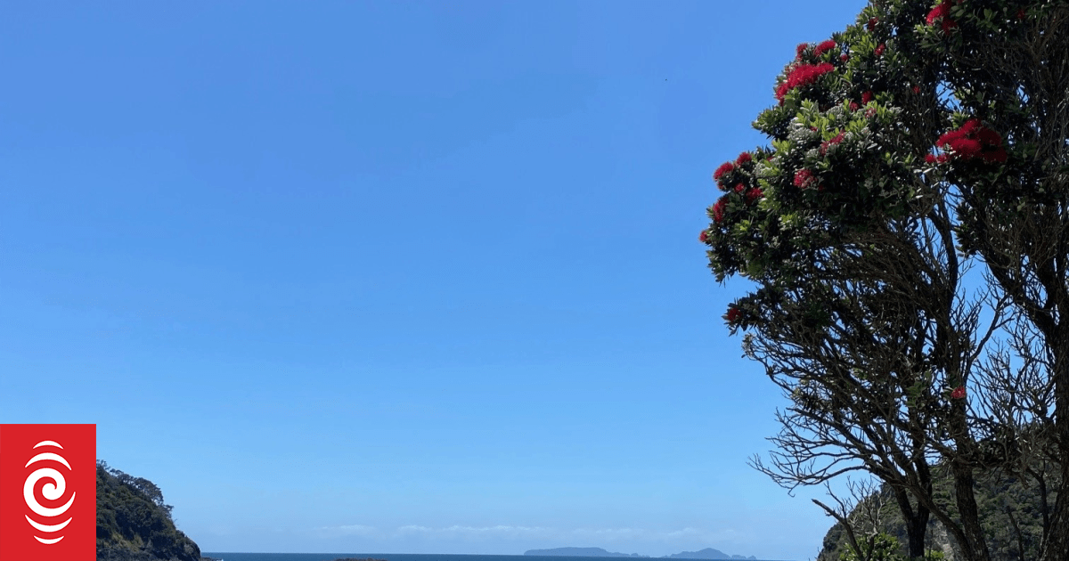 Dry Northland plus holiday crowds lead to water restrictions | RNZ News