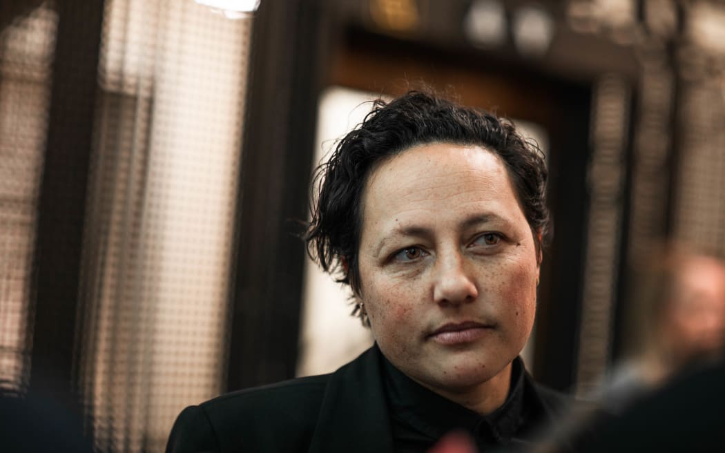 Former justice minister Kiri Allan gives reasons for pleading not ...