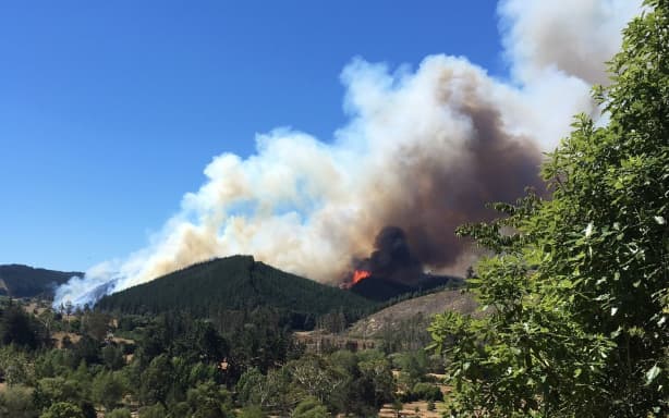 Nelson bush fire: Locals urged to leave homes | RNZ
