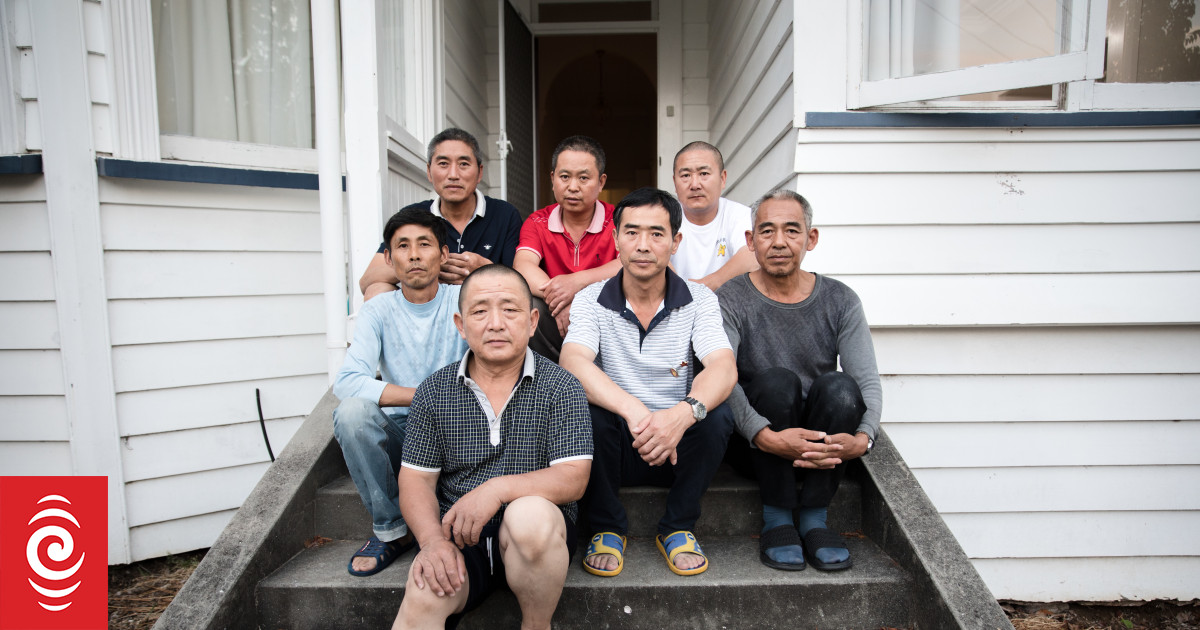 Chinese migrant workers: ‘We’ve been cheated’ | RNZ