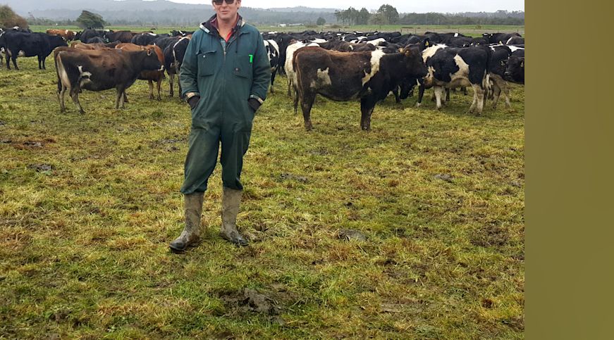 Country Life for Friday 31 August 2018 Country Life | RNZ