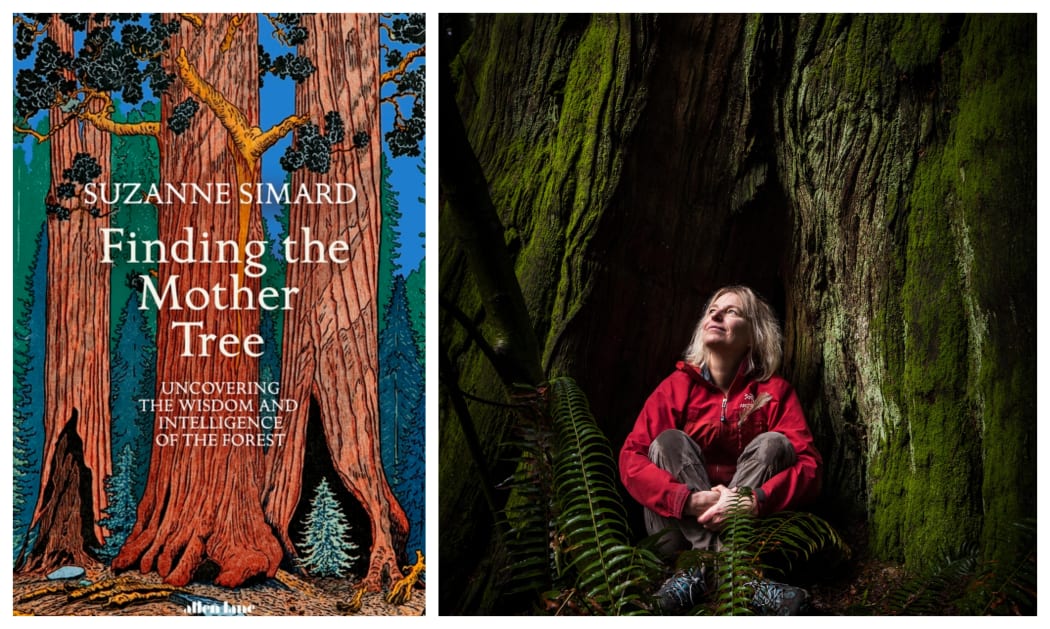 Suzanne Simard: the Wisdom and Intelligence of the Forest | RNZ