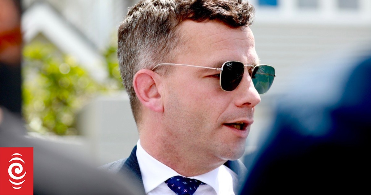 Health Minister Shane Reti responsible for review of ‘affirmative ...