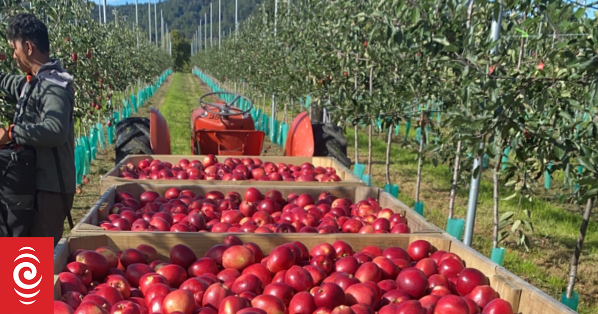 Around the motu: Alexa Cook in Hawkes Bay | RNZ