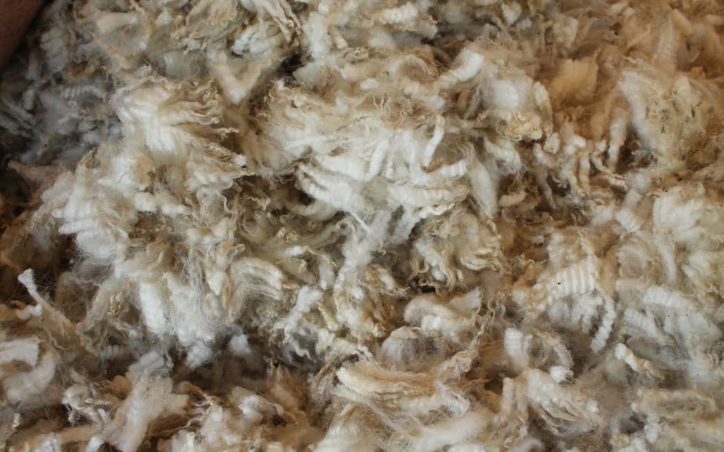 Wool auctions system contributing to poor returns - farmer | RNZ News