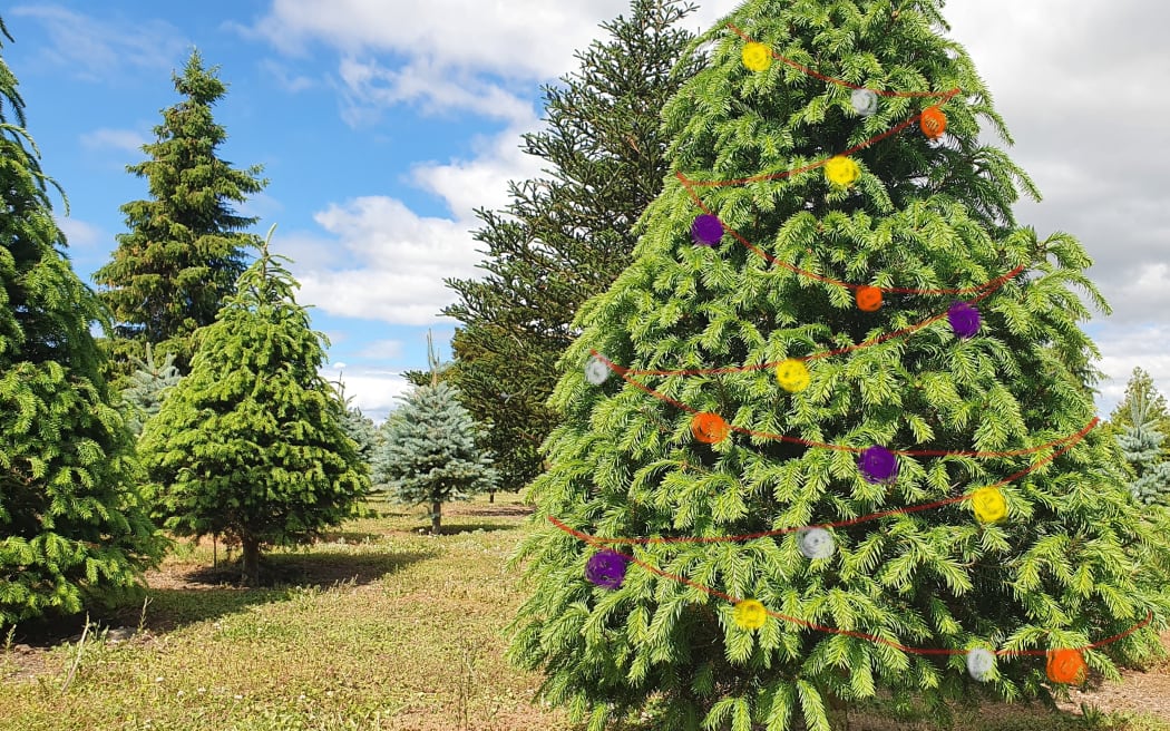 The Panel with Stephen Jacobi and Cas Carter (Part 2) | RNZ