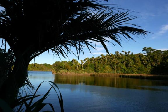 Hidden lakes | A Gallery from Nine To Noon | RNZ National