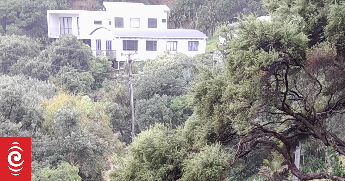 The Panel with Ali Jones and David Slack (Part 1) | RNZ