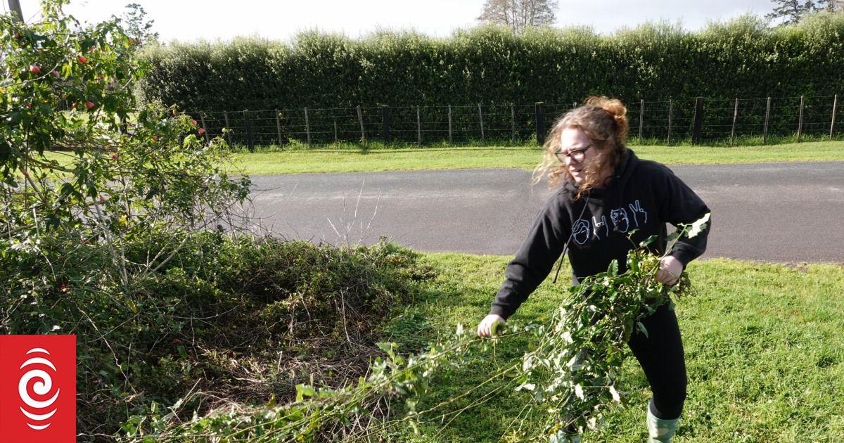 'It's really nasty': Toxic plants destroyed in high school competition ...