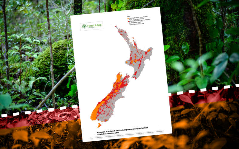 Maps reveal where conservation land could be sold off after government ...