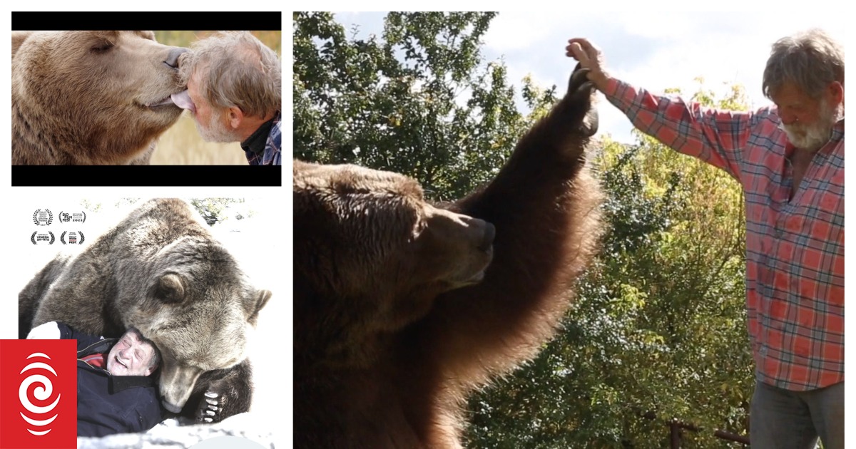One man's relationship with Bart the grizzly bear | RNZ
