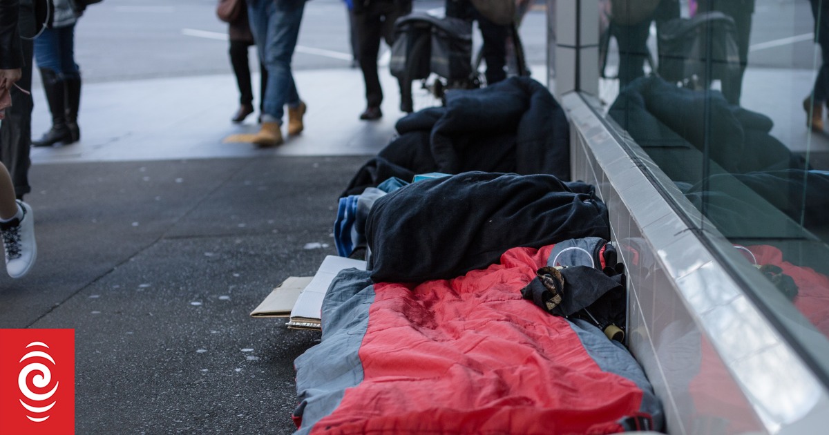 Eliminating homelessness an 'unreasonable goal' - Auckland Council ...