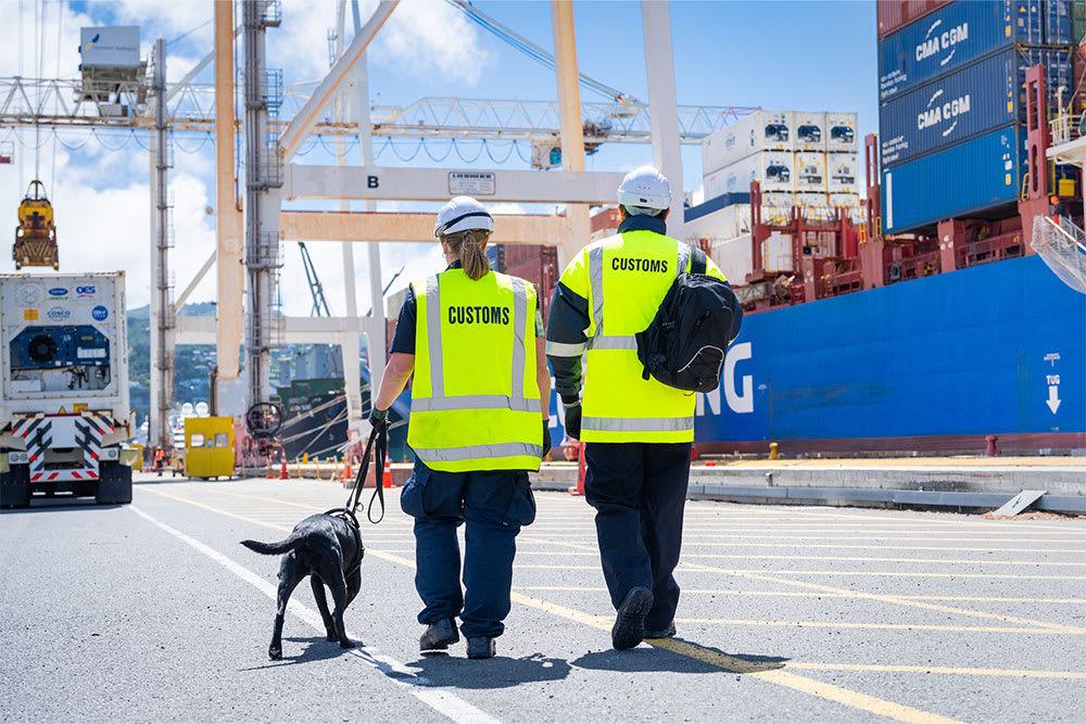 Customs NZ Expert Feature | A Gallery from Afternoons | RNZ National