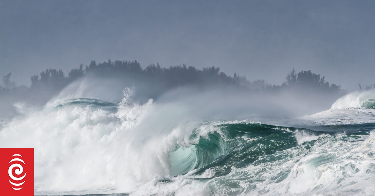 Police seek help in search for missing surfer | RNZ News