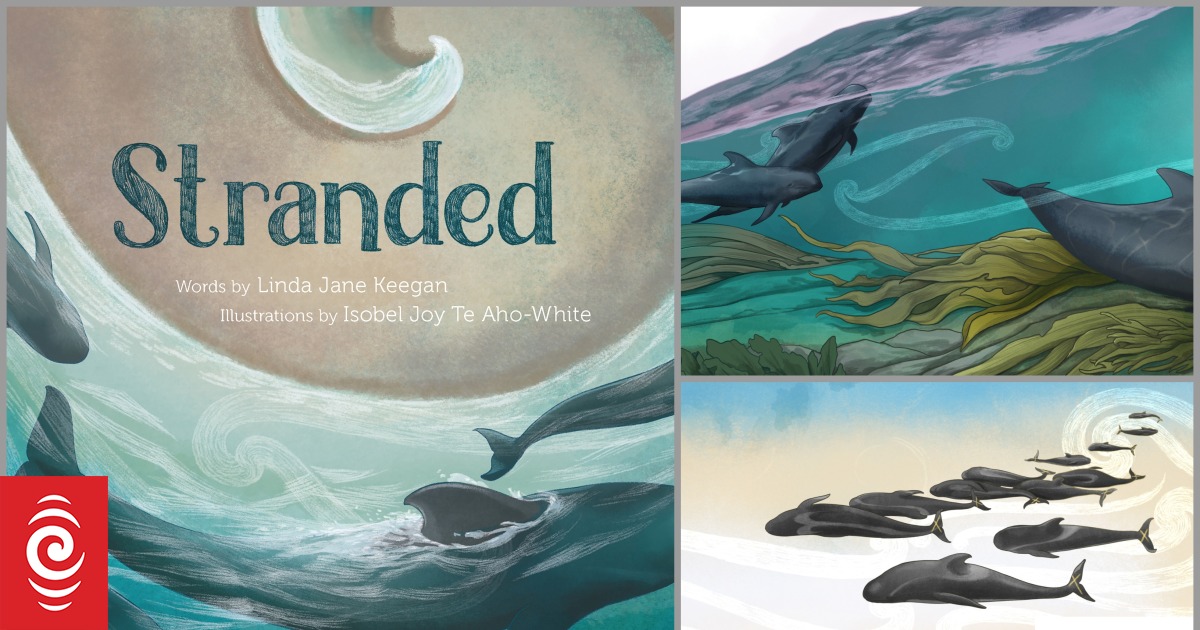 New children's book aims to help avoid mass whale strandings | RNZ