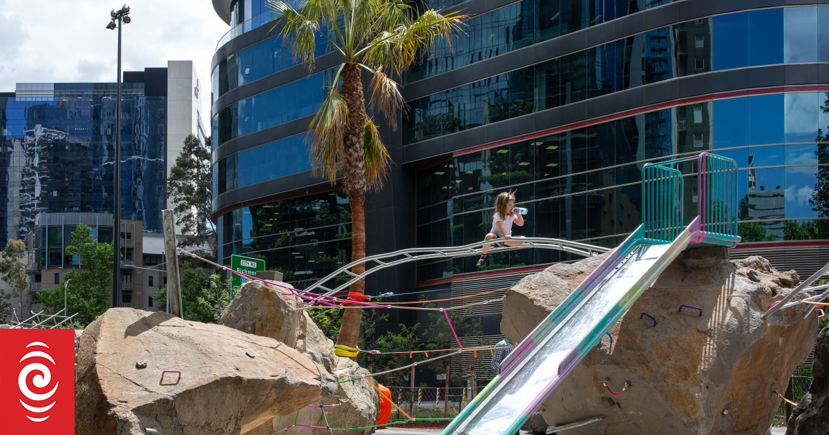 The New Zealand artist creating 'risky' playgrounds | RNZ