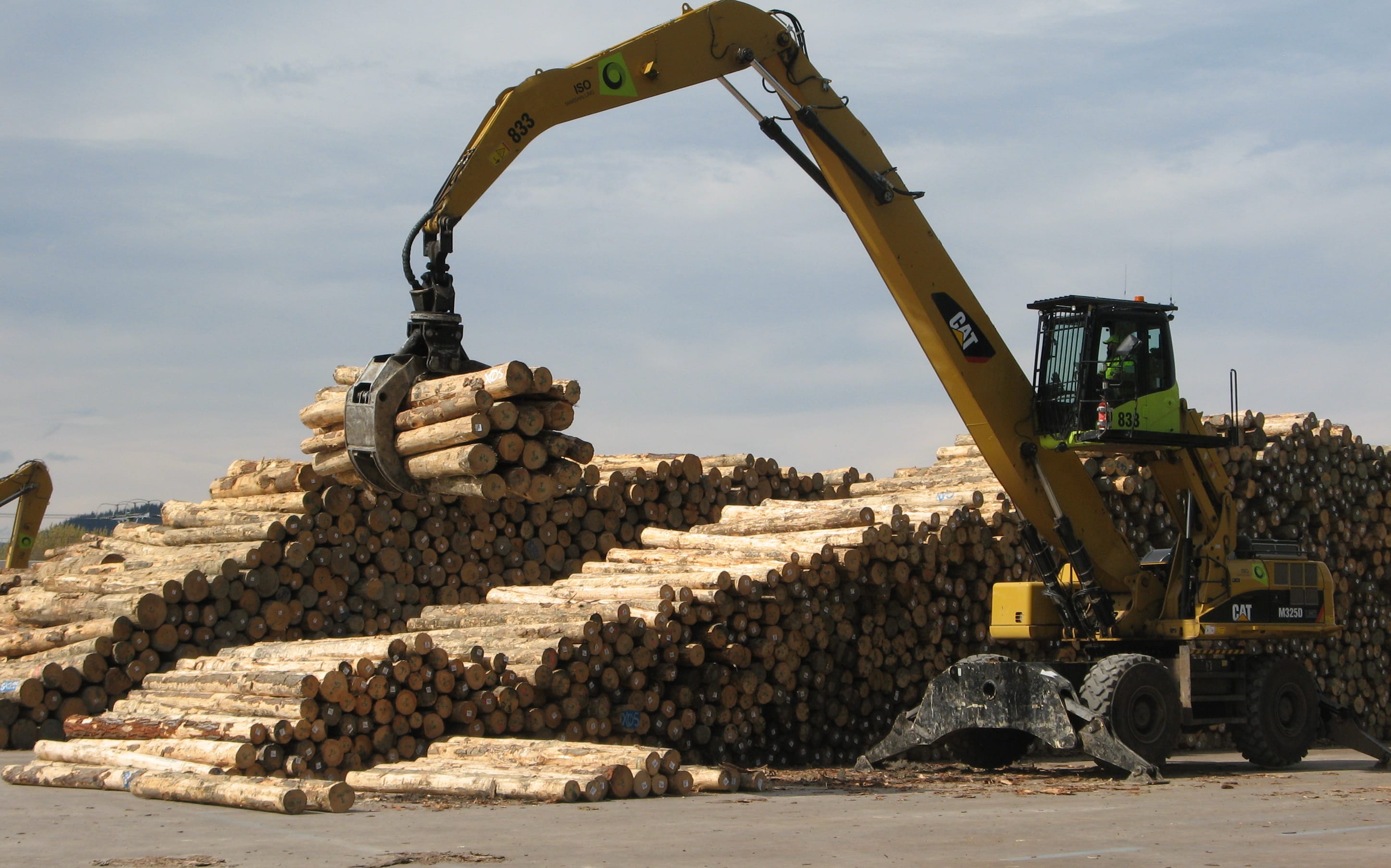 Forestry deal shows NZ 'open' for investment | RNZ News