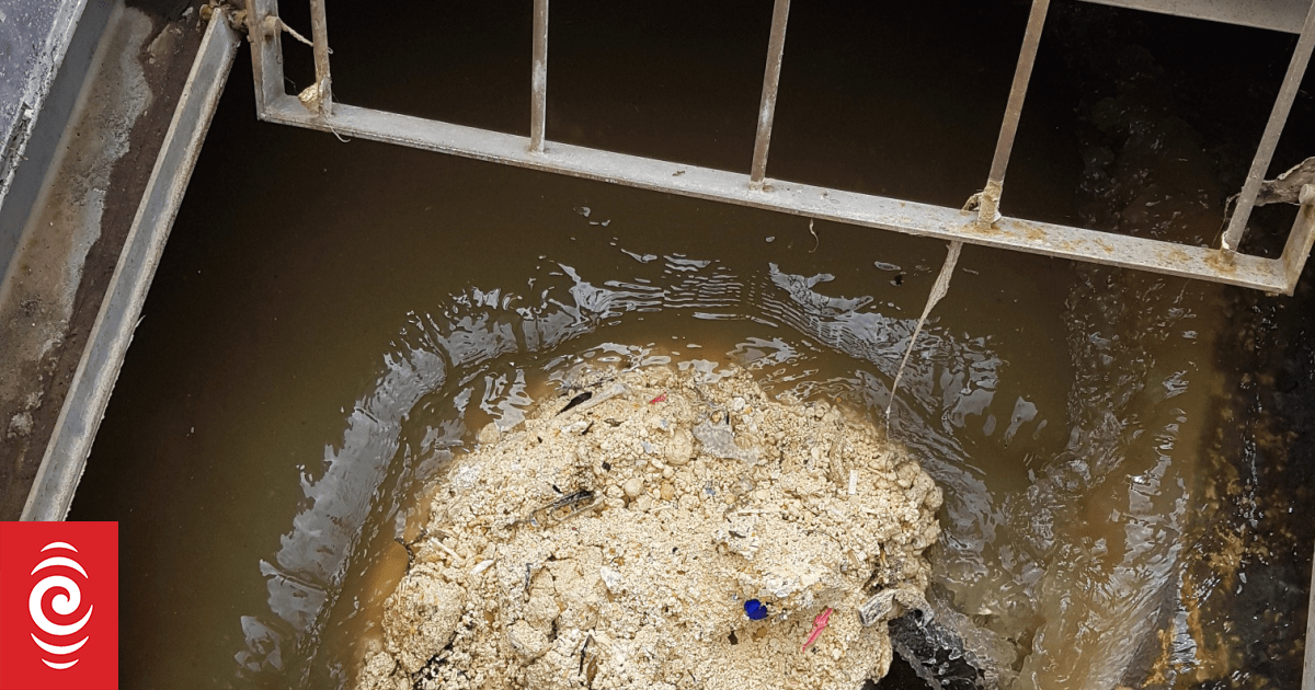 New Plymouth wastewater officials fed up with 'fatbergs' | RNZ News
