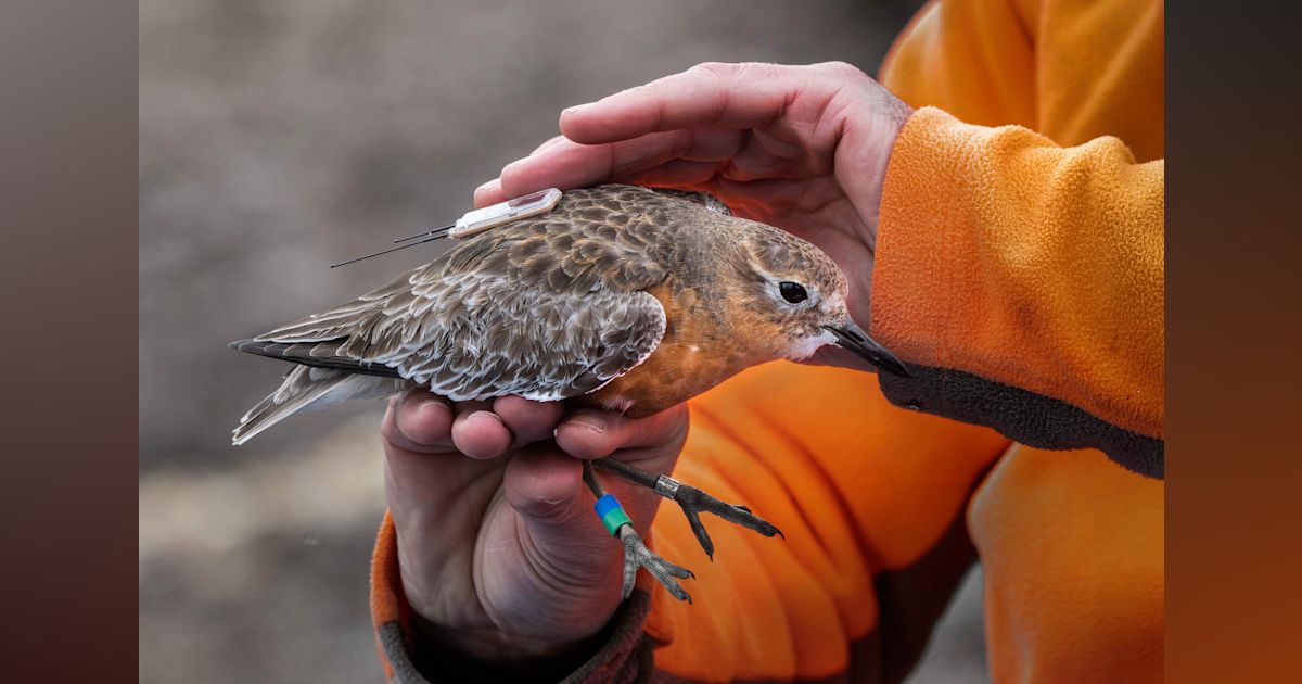 Our Changing World for Thursday 28 September 2023 Our Changing World | RNZ
