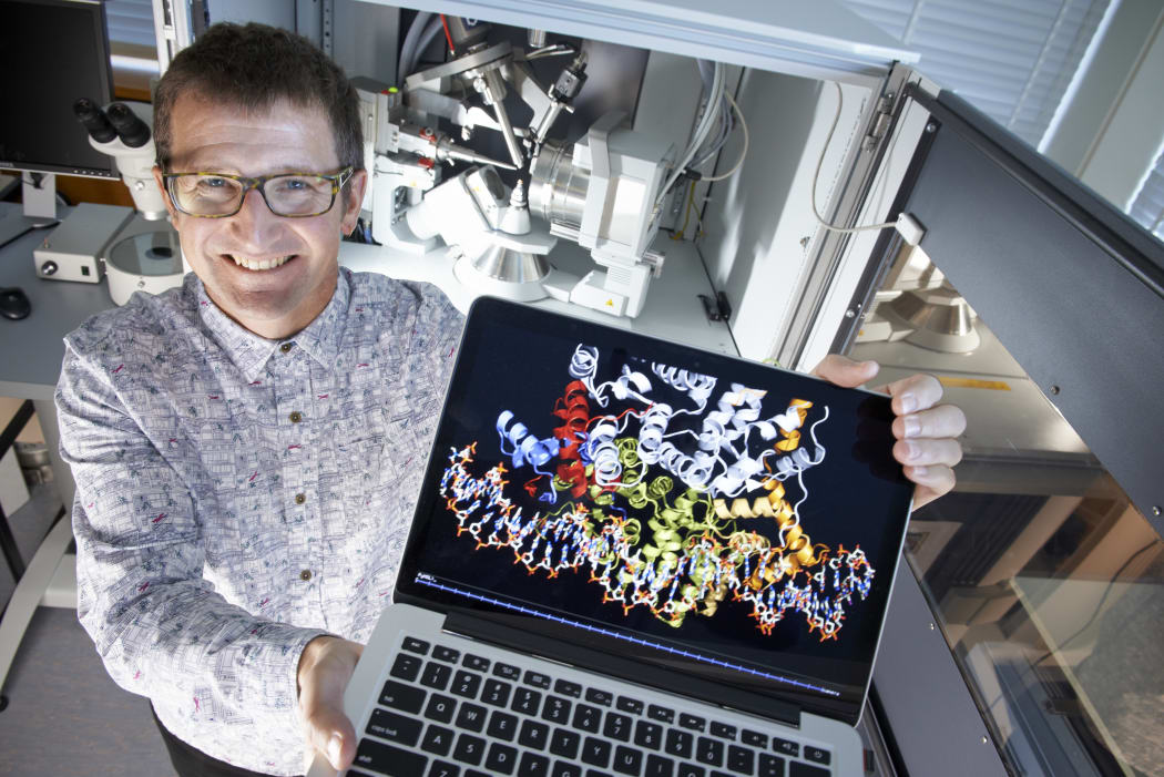 How enzymes respond to rising temperatures | RNZ