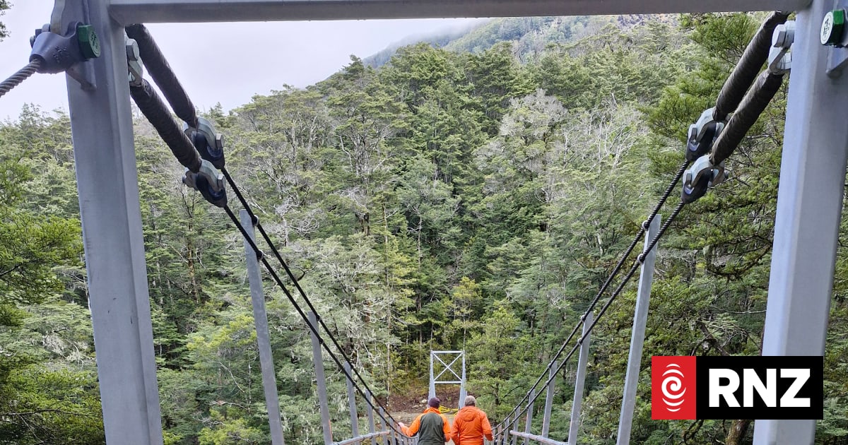 Lake Sylvan Track access restored with new bridge | RNZ