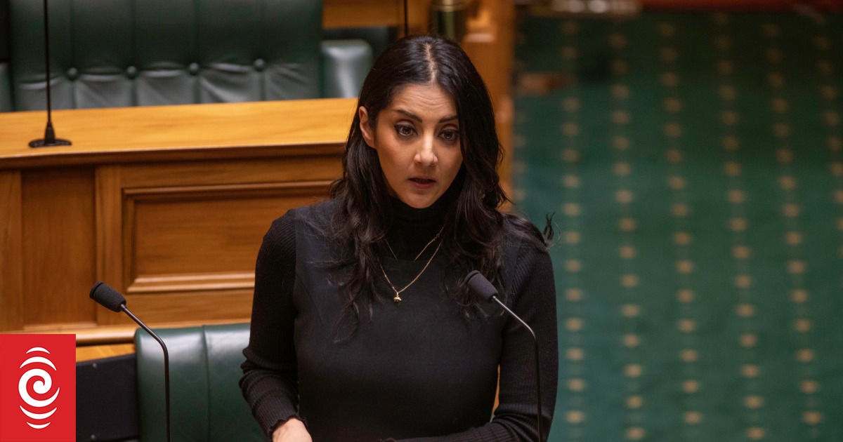 Green Party on calls for ceasefire in Gaza | RNZ