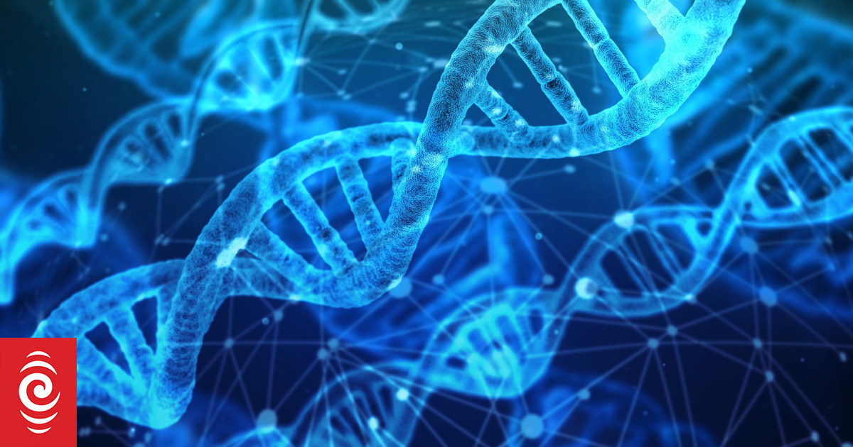 Submitted your DNA to 23andme? How safe is your data? | RNZ