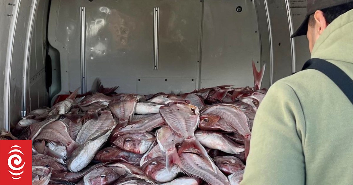 Free fish for a good cause | RNZ