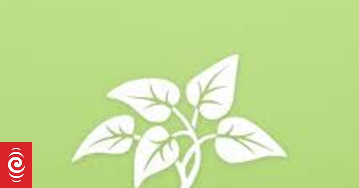 Book review - Giving for Good | RNZ