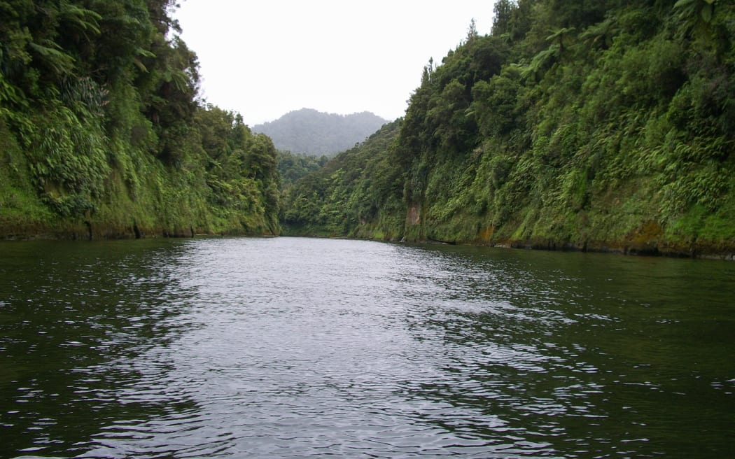 Major new exhibition partners with tribal river entity | RNZ News