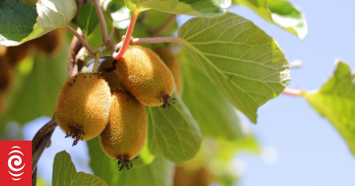 Fruit and Vege Report with Glenn Forsyth | RNZ
