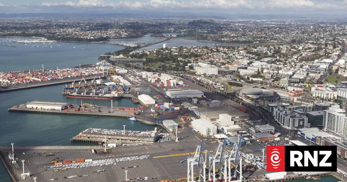 Wharf opponents get day in court | RNZ