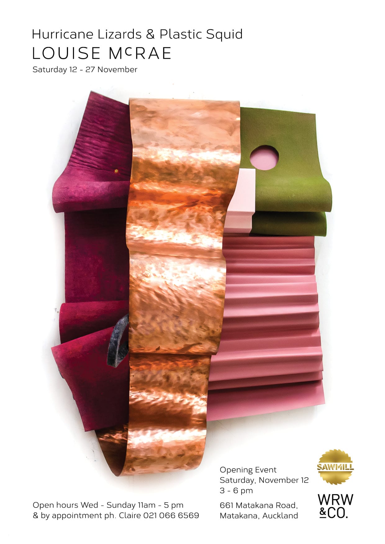 Sculptor Louise McRae shows how animals adapt to climate change | RNZ