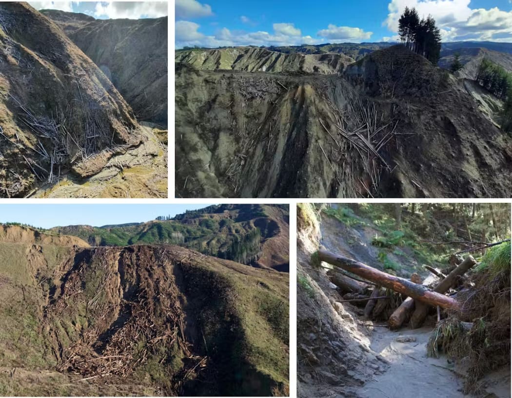 Cyclone Gabrielle exposed the risks of forestry slash. New research ...